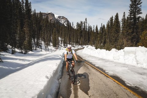 14 Awesome Bike Trails Around Banff (For All Levels)