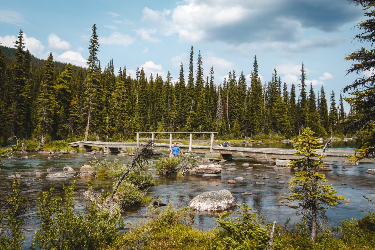 14 Awesome Bike Trails Around Banff (For All Levels)