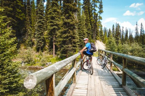 14 Awesome Bike Trails Around Banff (For All Levels)