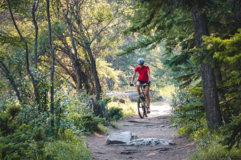 14 Awesome Bike Trails Around Banff (For All Levels)