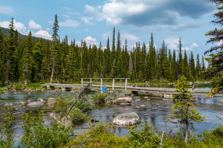 Banff Hikes: 20 Best hikes in Banff National Park, Canada