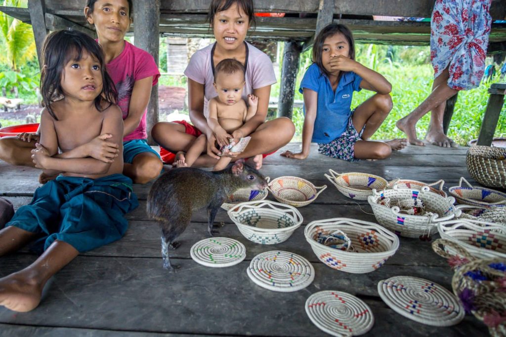 Daily Life of Warao Indians in Venezuelan Jungle