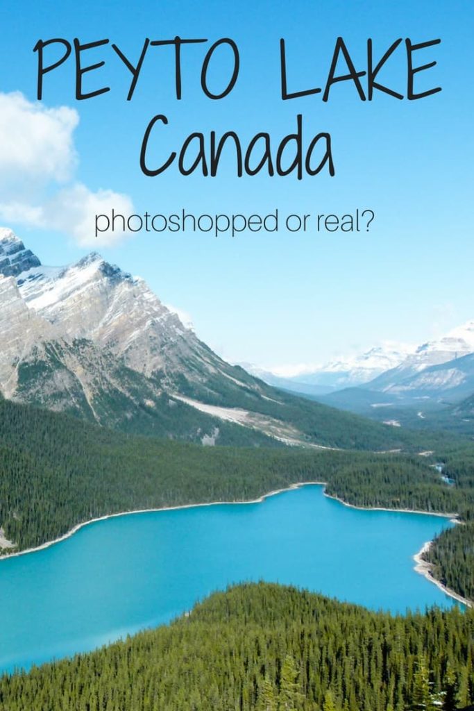 Peyto Lake, Canada – Everything You Need to Know About It