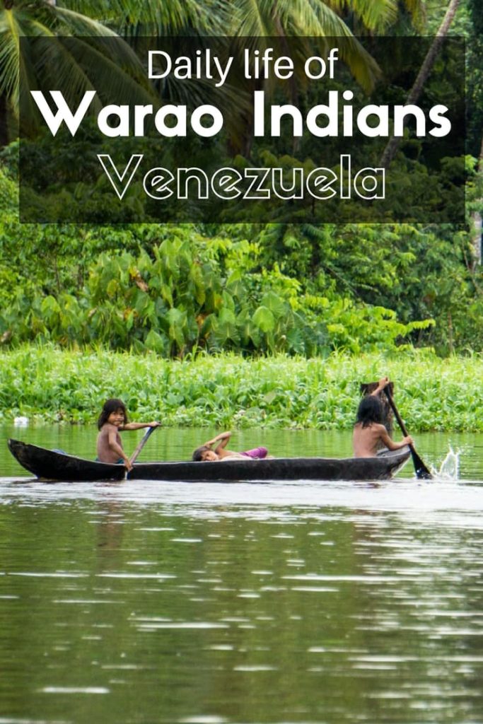 Daily Life of Warao Indians in Venezuelan Jungle