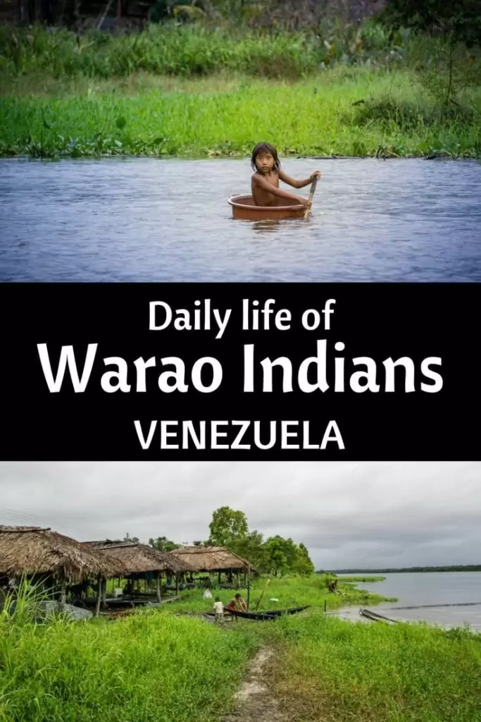Daily Life of Warao Indians in Venezuelan Jungle