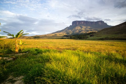 Mount Roraima Trek: Guide to Venezuela’s Lost World