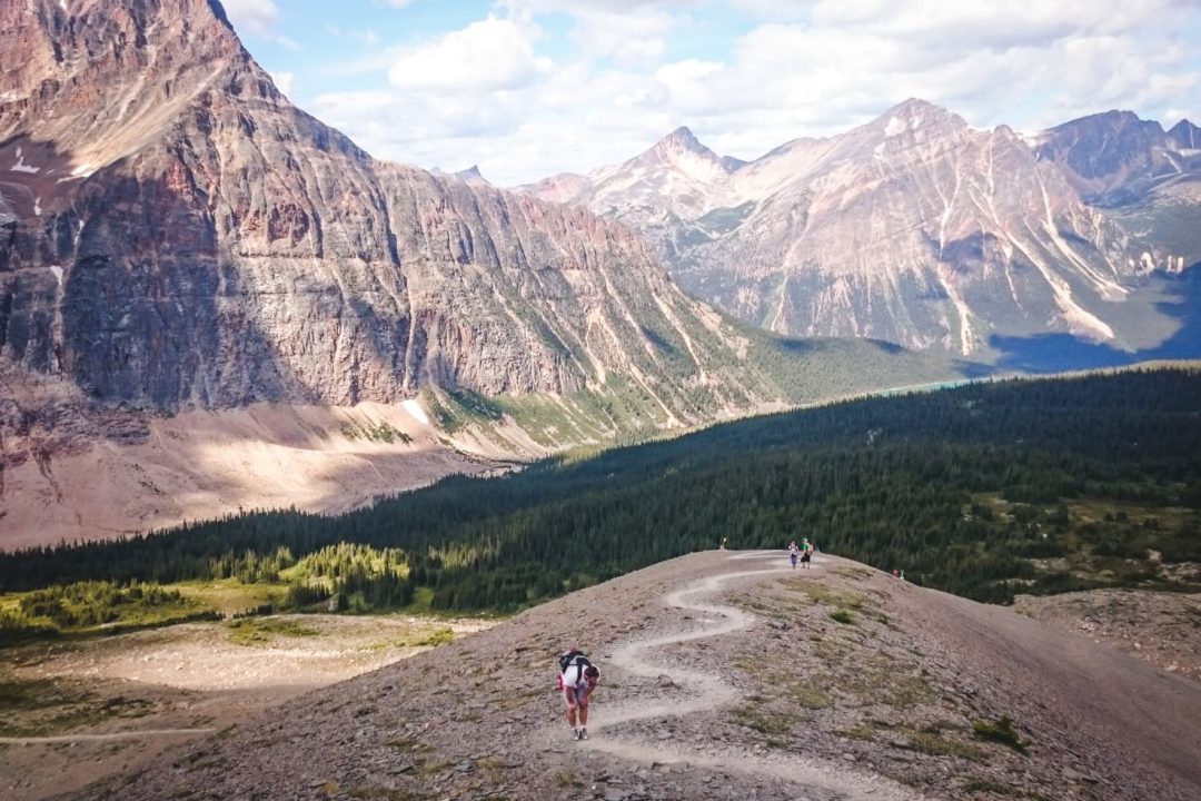 Hiking in Jasper National Park: 20 best hikes for all levels