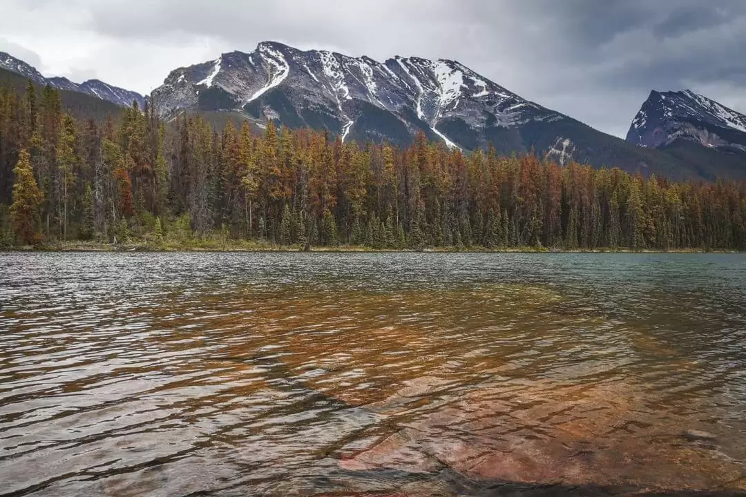 Complete guide to Camping in Jasper National Park (Updated for 2020)
