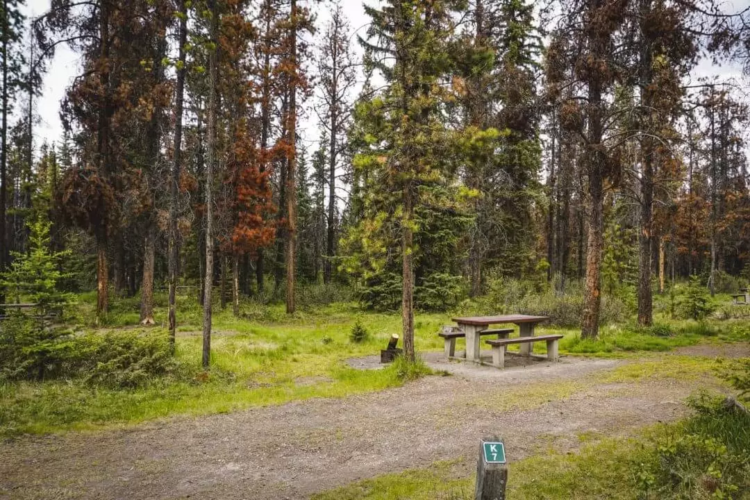 Complete Guide to Camping in Jasper National Park in 2024