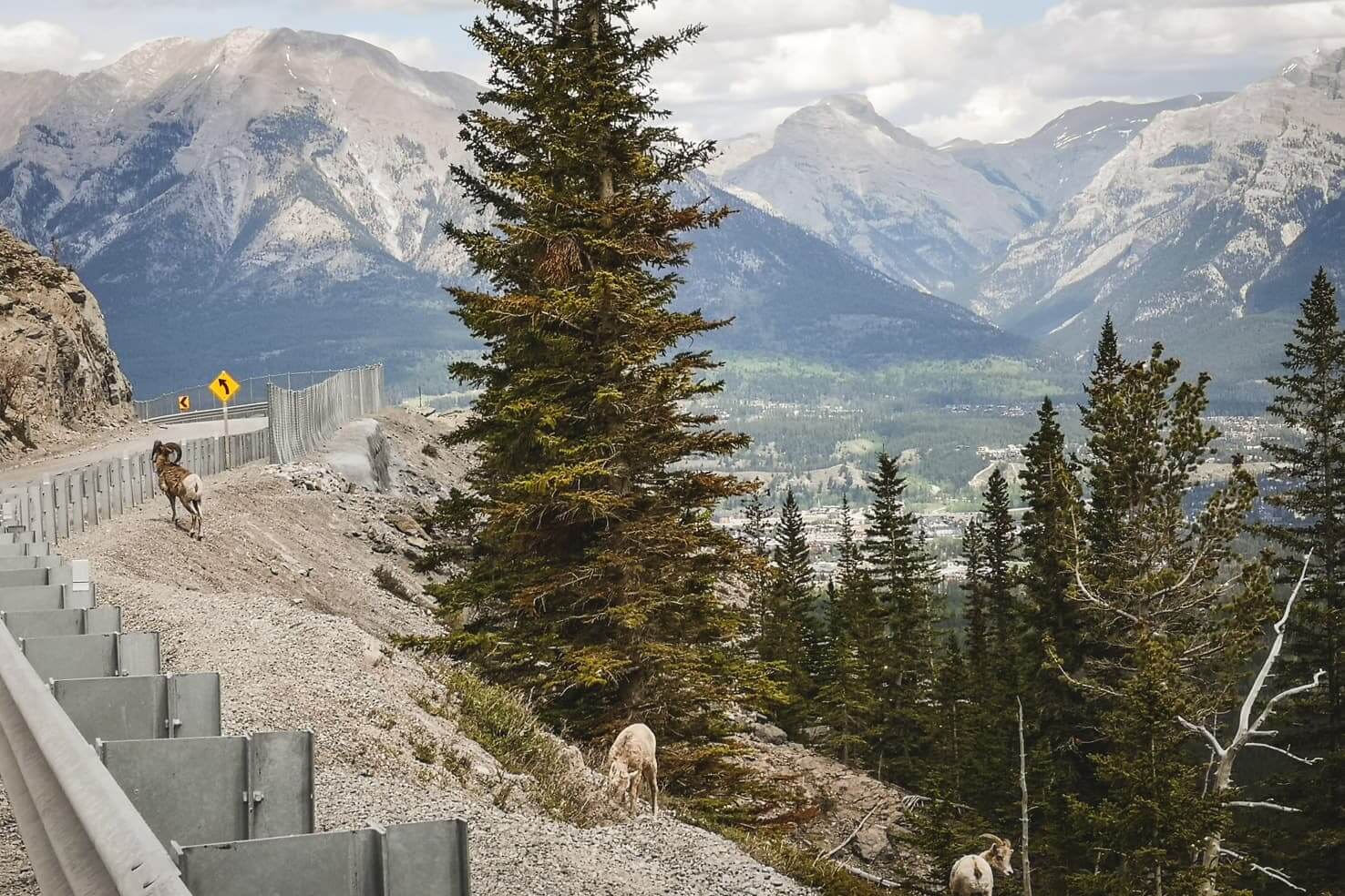 Legacy trail, biking from Banff to Canmore with an adventurous twist