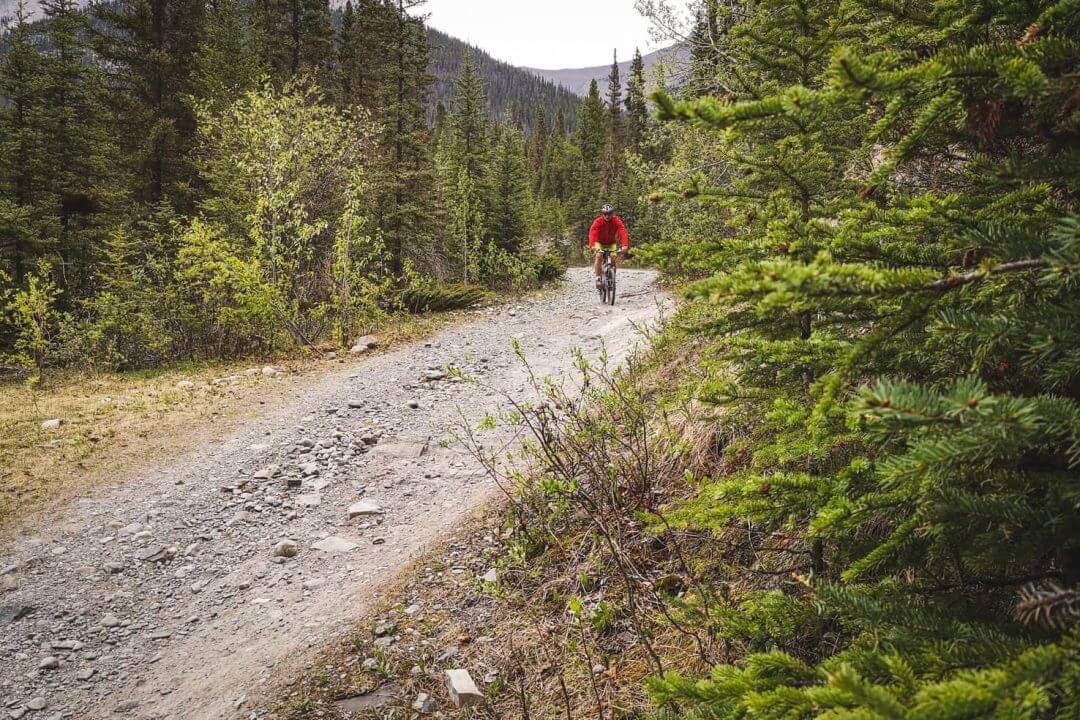 14 Awesome Bike Trails Around Banff (For All Levels)