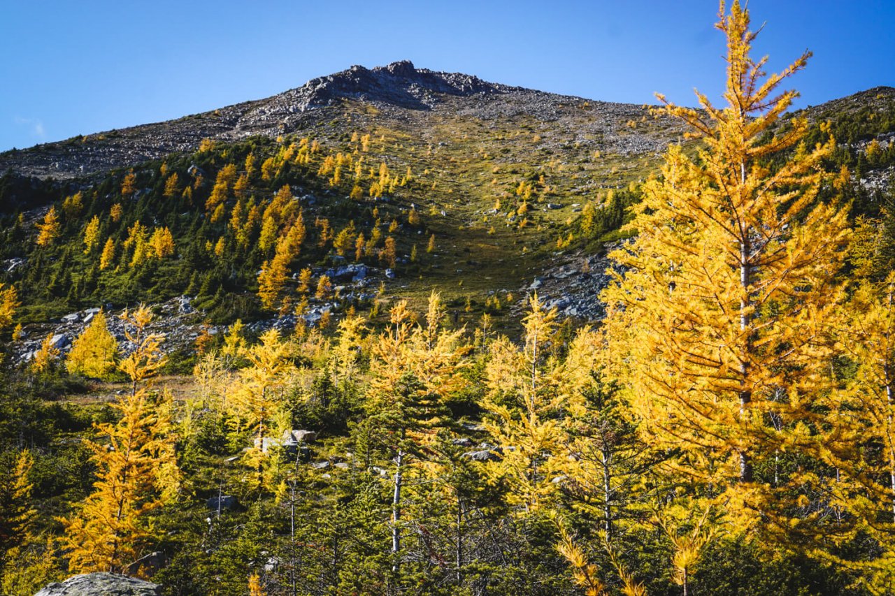 Mount St. Piran Hike in Lake Louise: Your Complete Guide