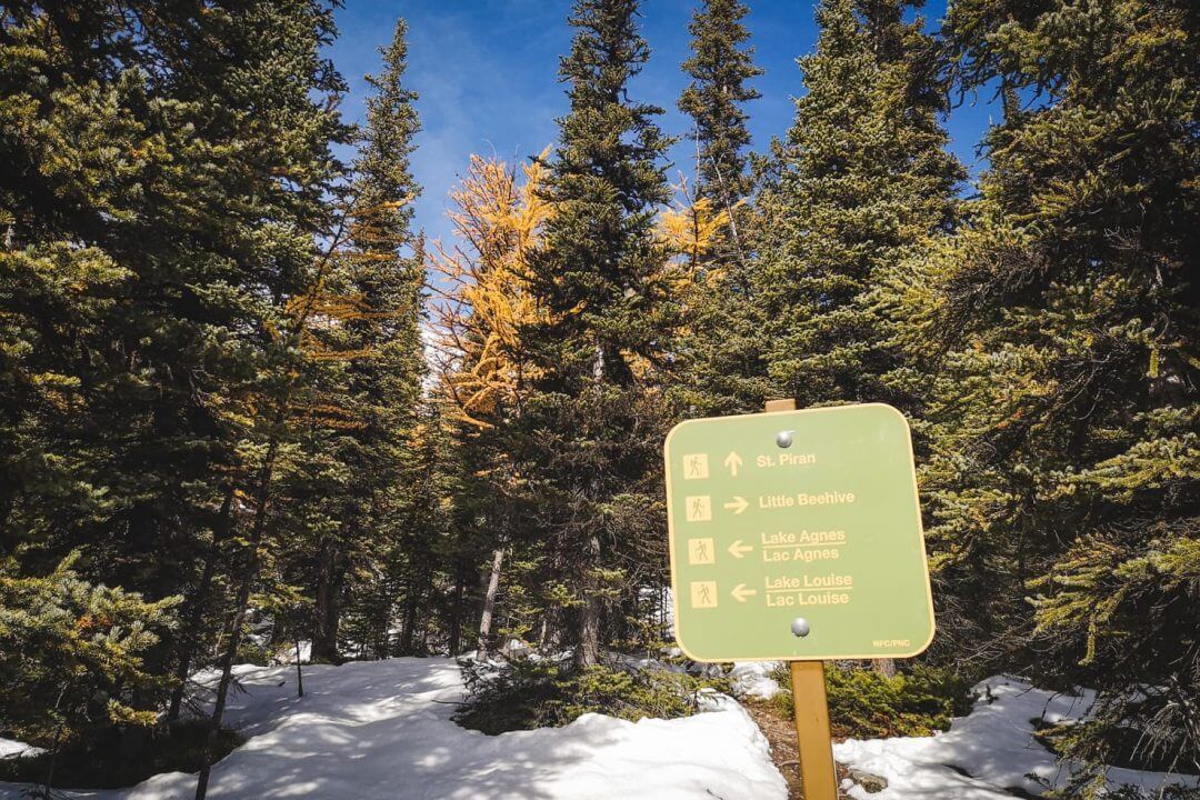Mount St. Piran Hike in Lake Louise: Your Complete Guide