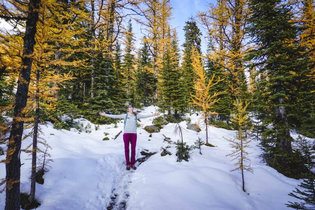 Mount St. Piran Hike in Lake Louise: Your Complete Guide