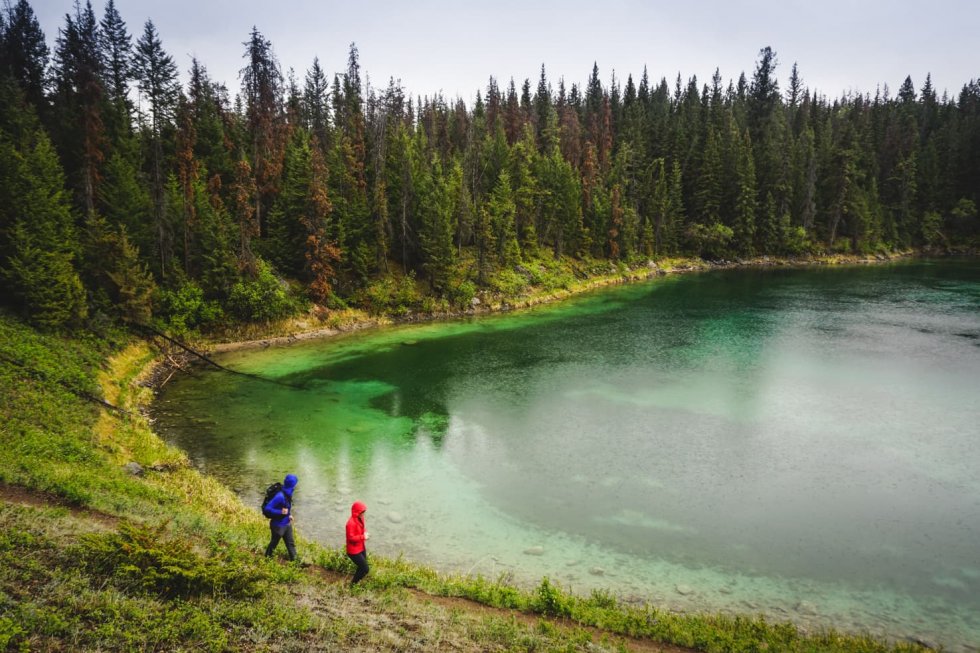 Valley of the Five Lakes, Jasper National Park