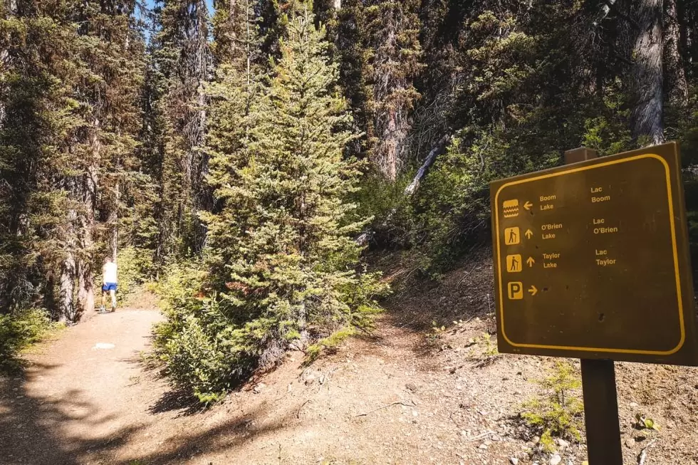 Boom Lake Hike in Banff National Park