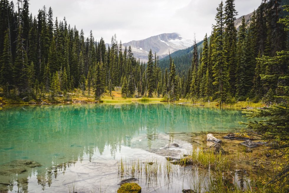 15 Day Hikes near Calgary with Jaw-Dropping Views