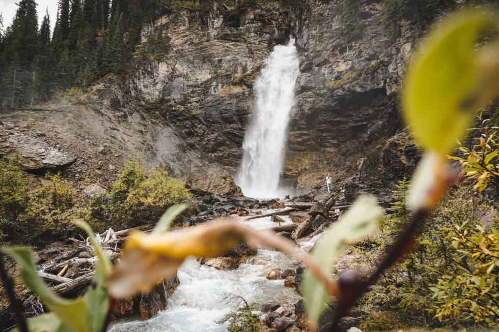 Takakkaw Falls in Yoho: Your Ultimate Guide (2023)