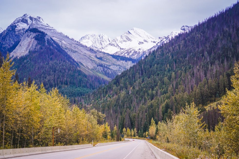 20 Things to Do in Golden, British Columbia