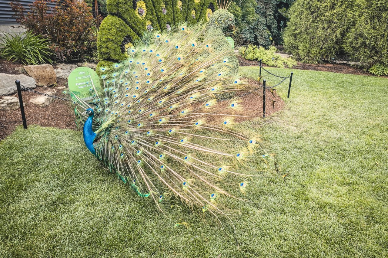 45 Fun Things to Do in Calgary in Summer