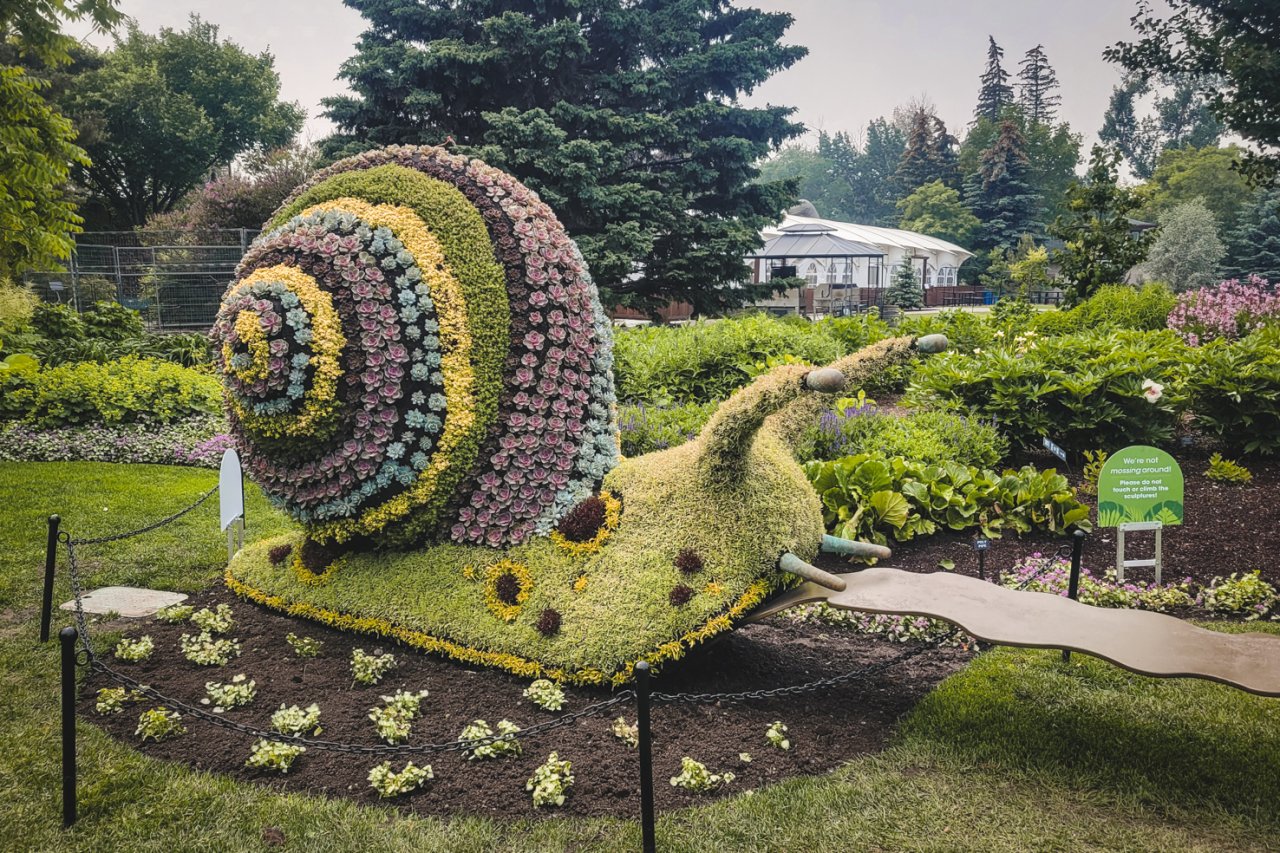 30 Fun Things to Do in Calgary in Summer