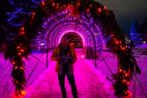 44 Awesome Things to Do in Calgary in Winter in 2023/2024