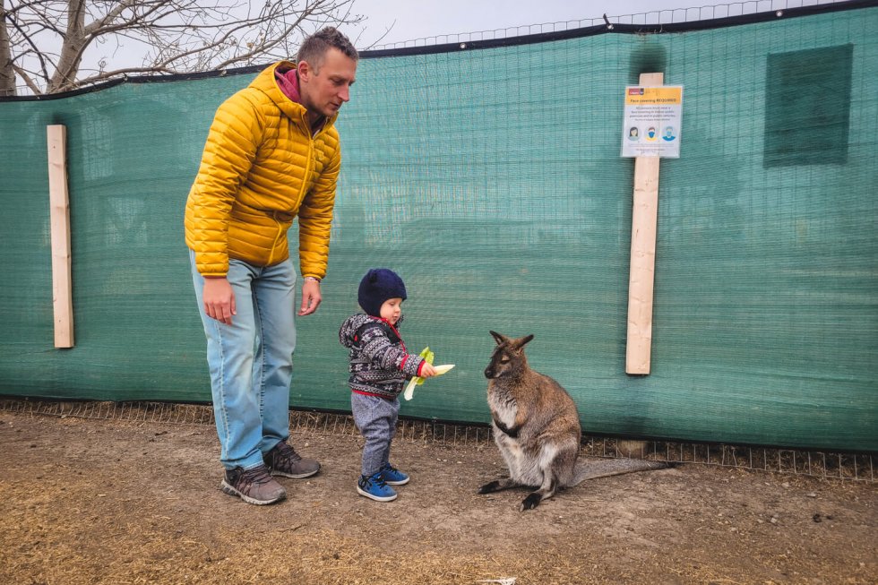 40 Awesome Things to Do With Kids in Calgary