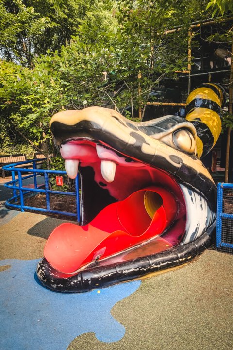 Tips for Visiting the Calgary Zoo in 2025