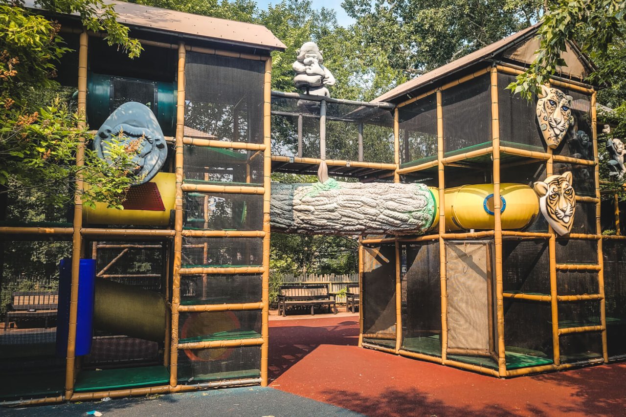 Tips for Visiting the Calgary Zoo in 2025