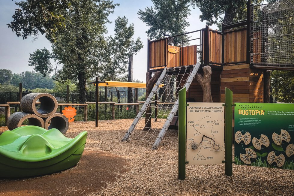 Tips for Visiting the Calgary Zoo in 2025