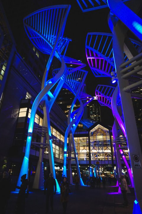 Glow Festival in Calgary: What to Expect and Tips for Visiting