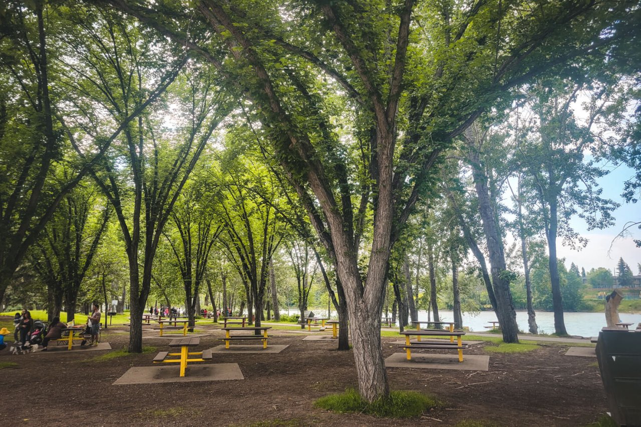 Shouldice Park Playground, the Biggest Outdoor Playground