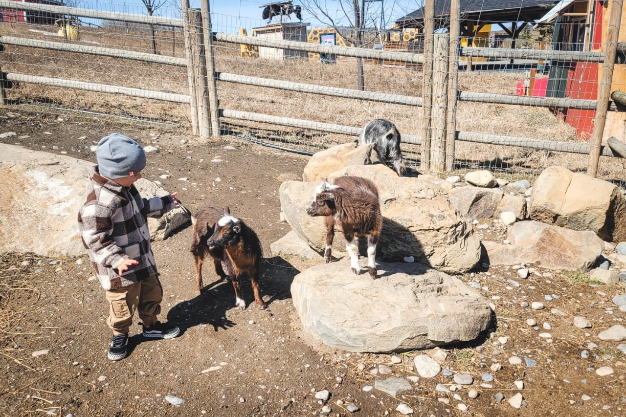 Granary Road: Honest Review & Tips for Visiting