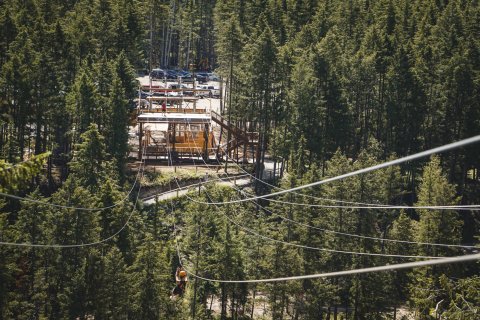 Golden Skybridge - Guide to Suspension Bridges, Zipline, and More