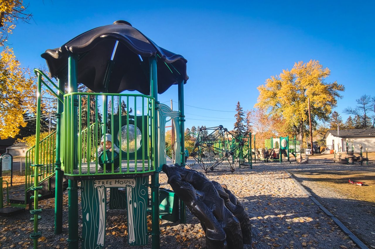 Capitol Hill Dinosaur Playground