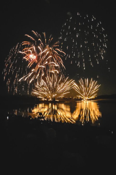 Global Fest in Calgary: Tips for Visiting and My Honest Review