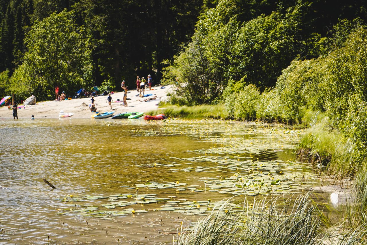 Cedar Lake in Golden, BC: Everything You Need to Know