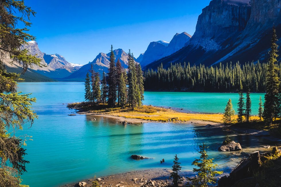 Jasper Skytram: Guide to Visiting Iconic Jasper Gondola in 2025