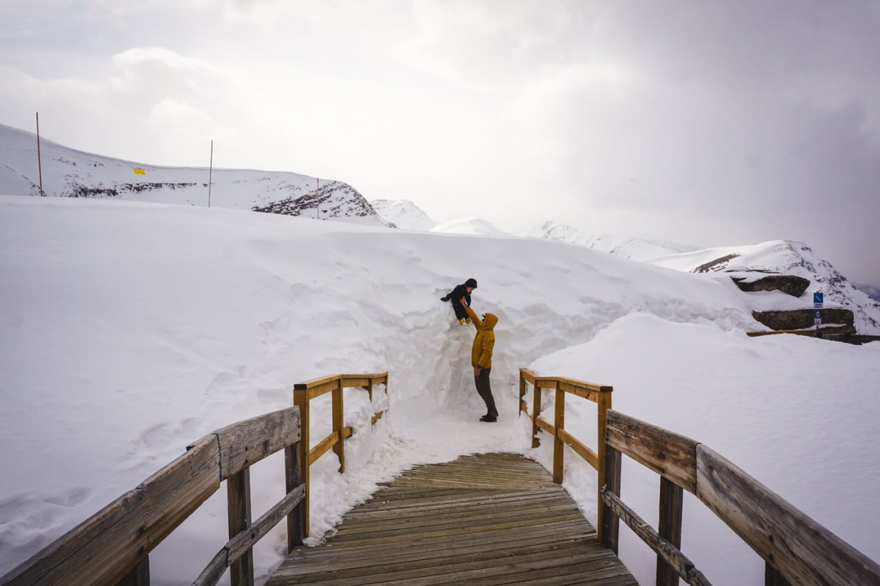 Jasper Skytram: Guide to Visiting Iconic Jasper Gondola in 2025