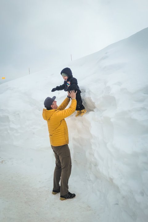 Jasper Skytram: Guide to Visiting Iconic Jasper Gondola in 2025