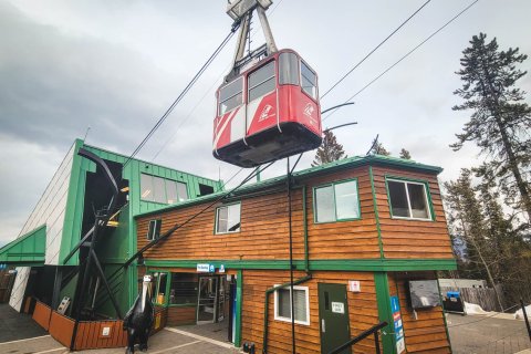 Jasper Skytram: Guide to Visiting Iconic Jasper Gondola in 2025