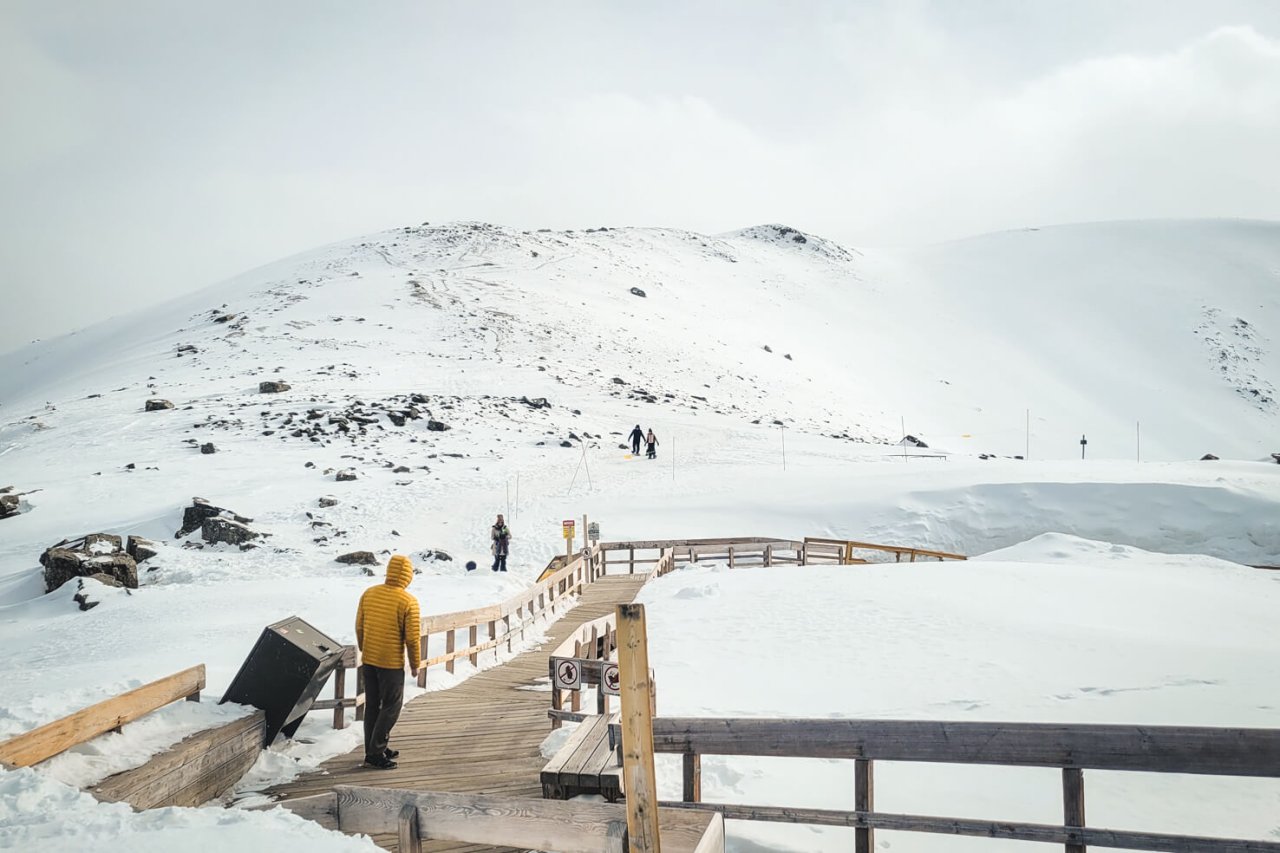 Jasper Skytram: Guide to Visiting Iconic Jasper Gondola in 2025