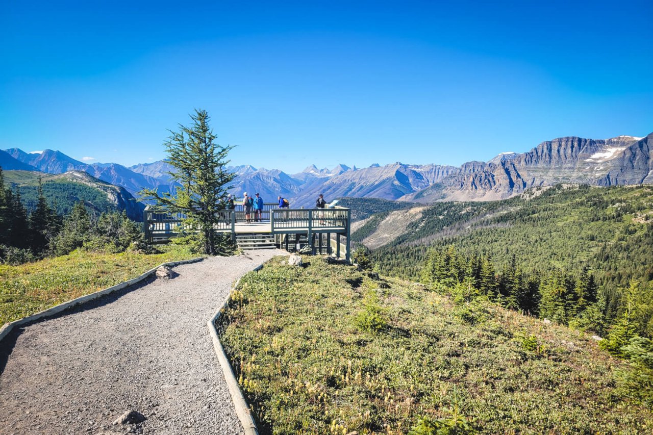 Sunshine Meadows Gondola & Hike in Banff