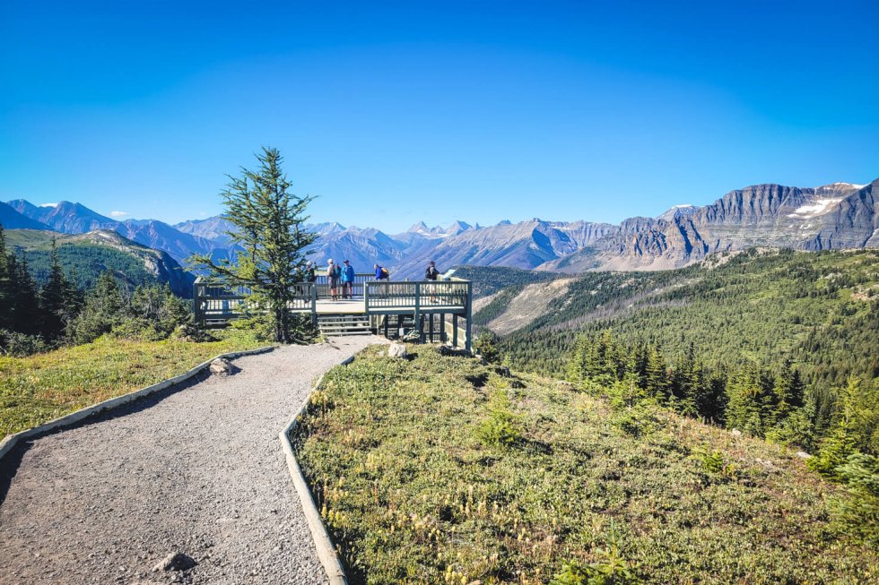 Sunshine Meadows Gondola & Hike in Banff