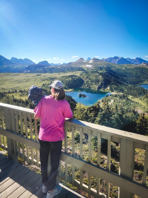 Sunshine Meadows Gondola & Hike in Banff