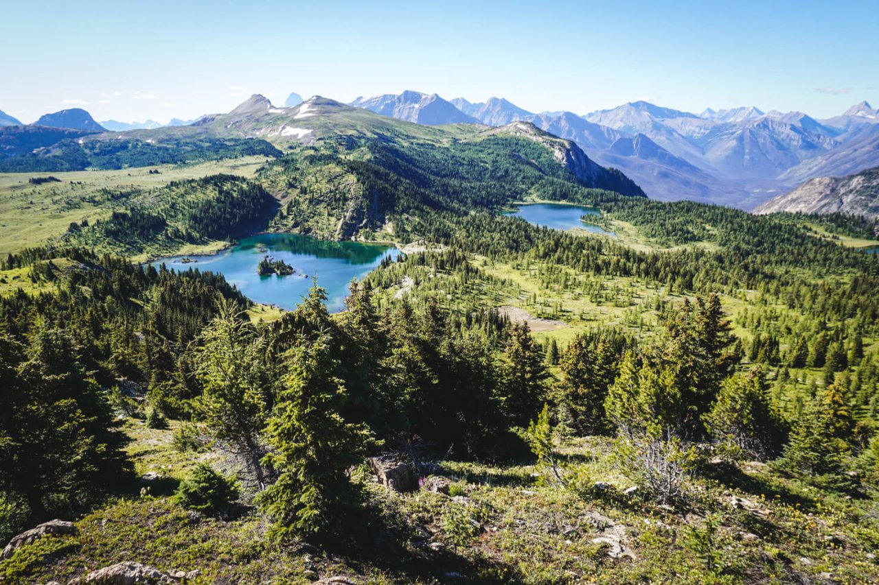 Sunshine Meadows Gondola & Hike in Banff