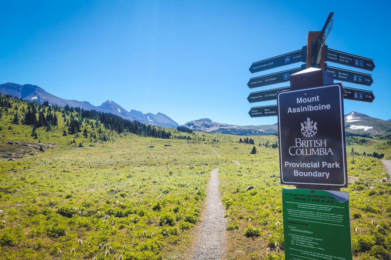 Sunshine Meadows Gondola & Hike in Banff