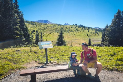 Sunshine Meadows Gondola & Hike in Banff