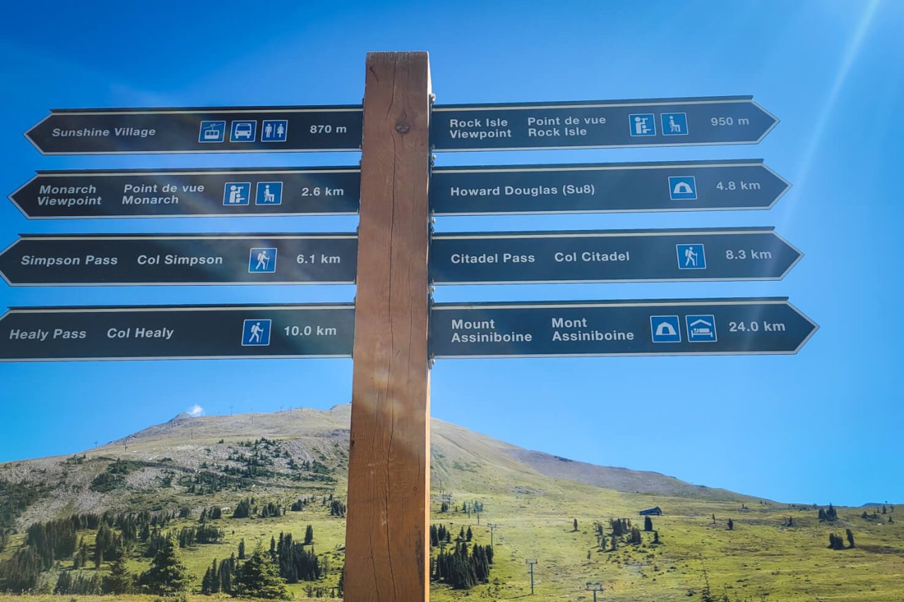 Sunshine Meadows Gondola & Hike in Banff