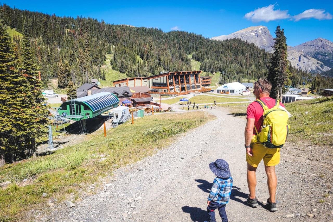 Sunshine Meadows Gondola & Hike in Banff
